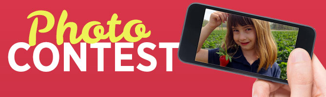 Strawberry Festival Photo Contest 2019 | Mitcham Farm